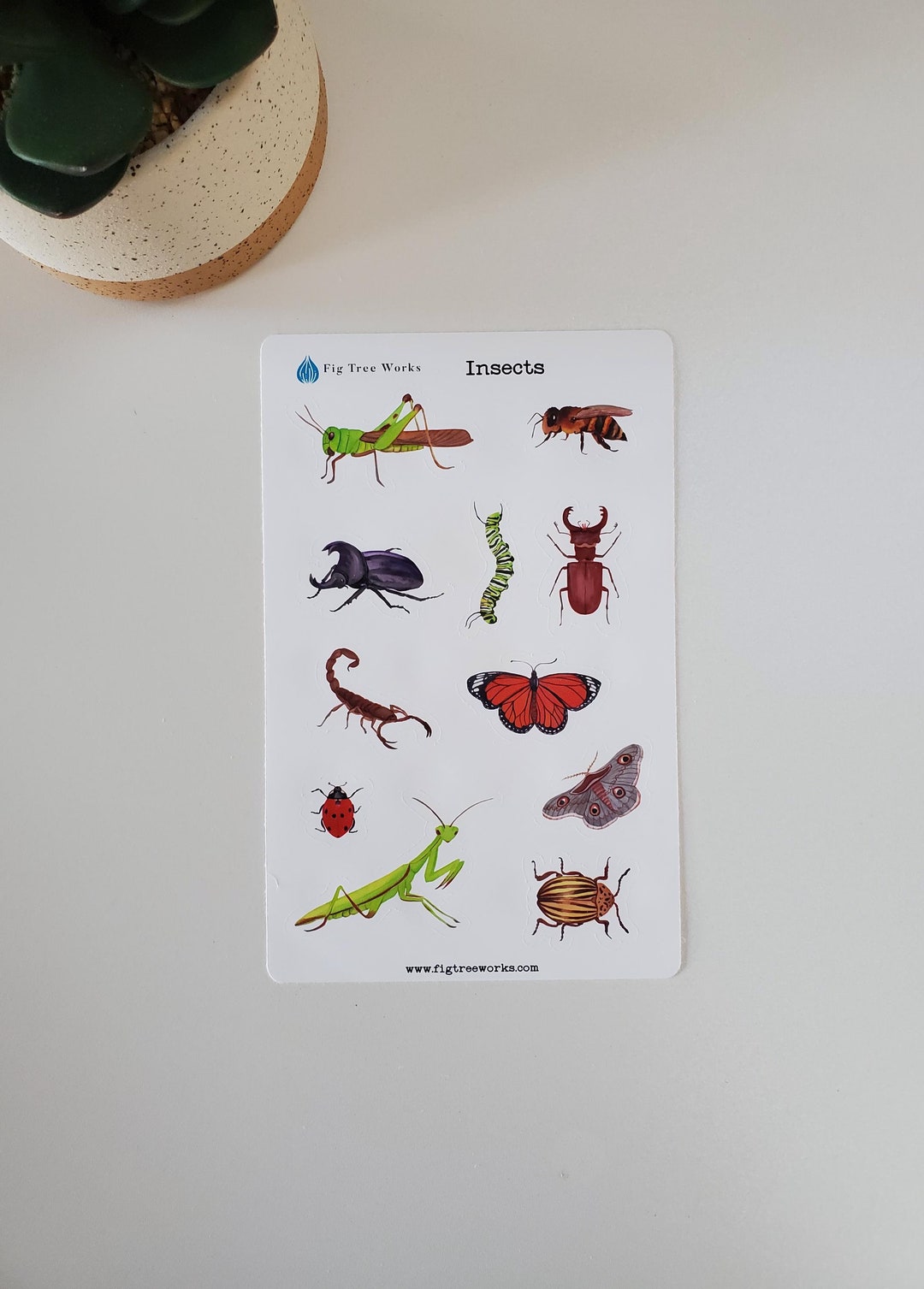 Insects Sticker Sheet | Planner and Journal Stickers | Decoration ...