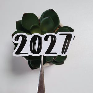 2025, 2026 or 2027 Year Vinyl Sticker | Planner Sticker for Journals ...