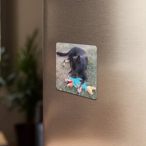 Custom Photo Magnet Collage Set of 4 Magnets Aluminum Photo Magnets ...