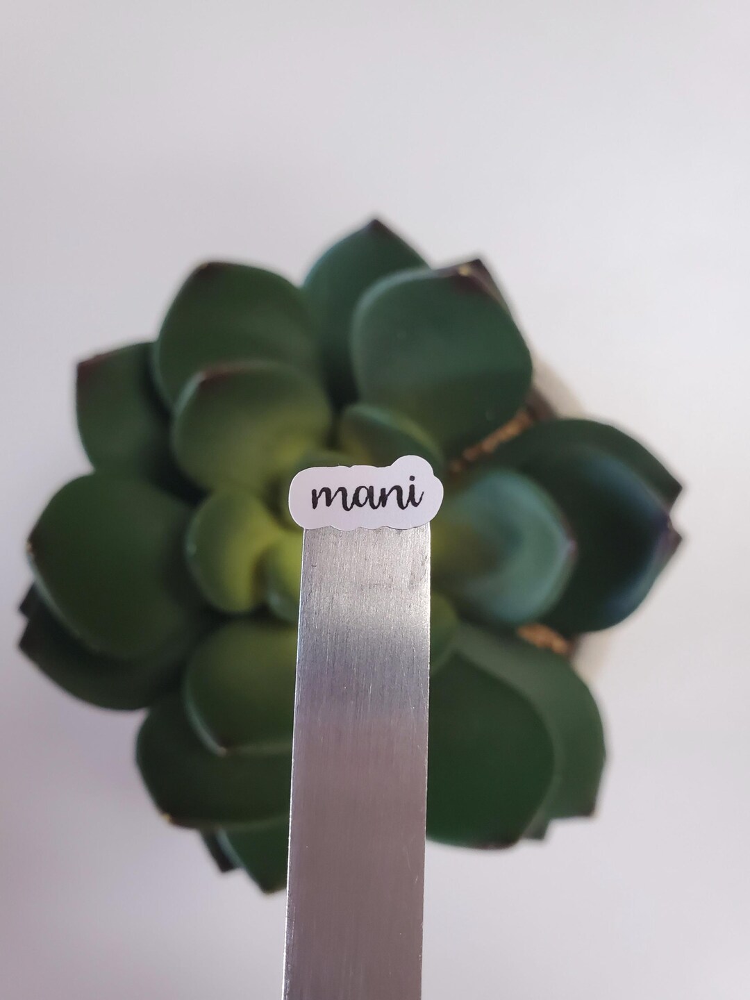 Mani Text Stickers | Manicure Reminder Stickers for Calendars, Planners ...