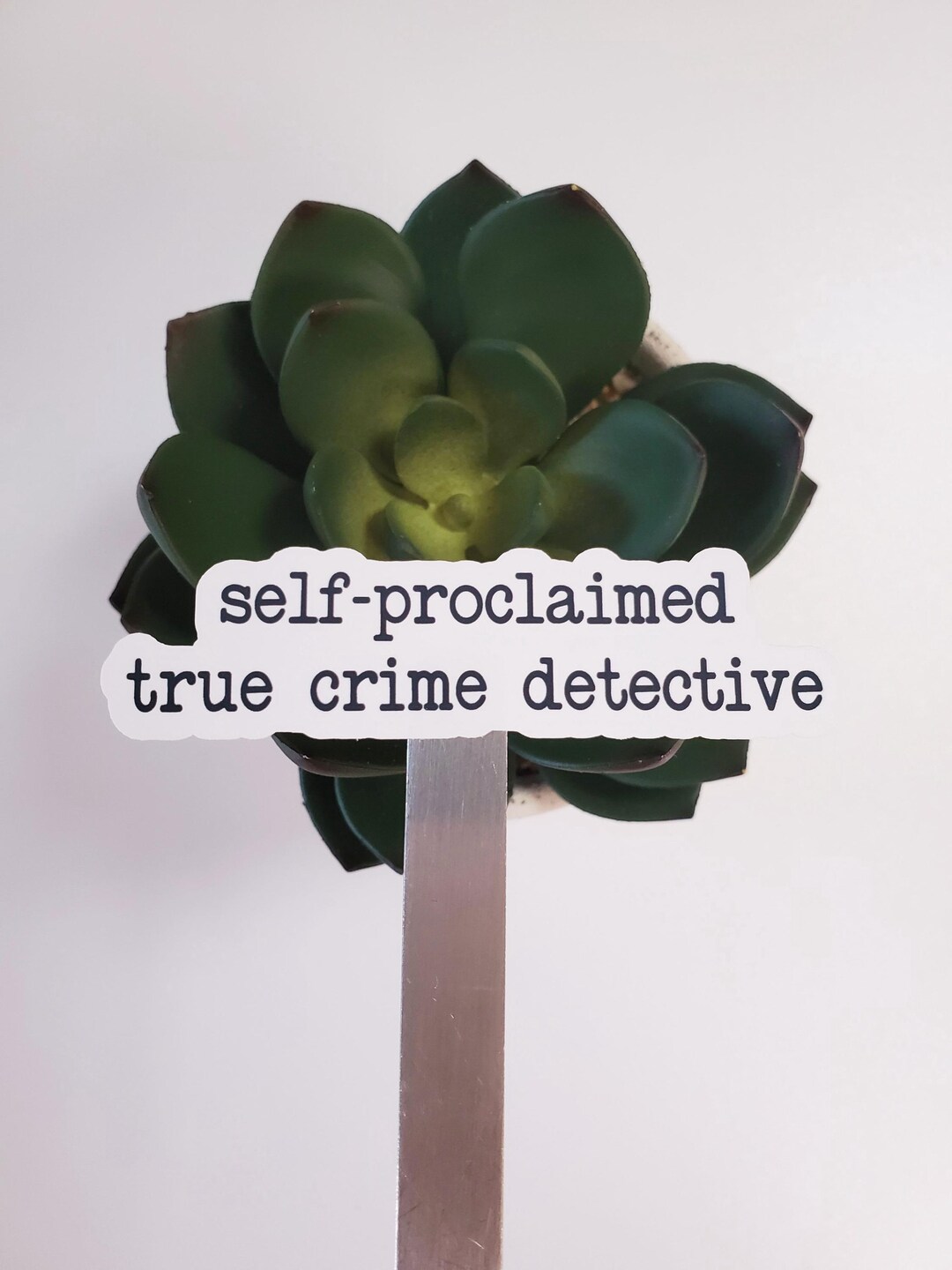 Self-proclaimed True Crime Detective Text Sticker for Laptop, Water Bottle, Journal | Contour ...