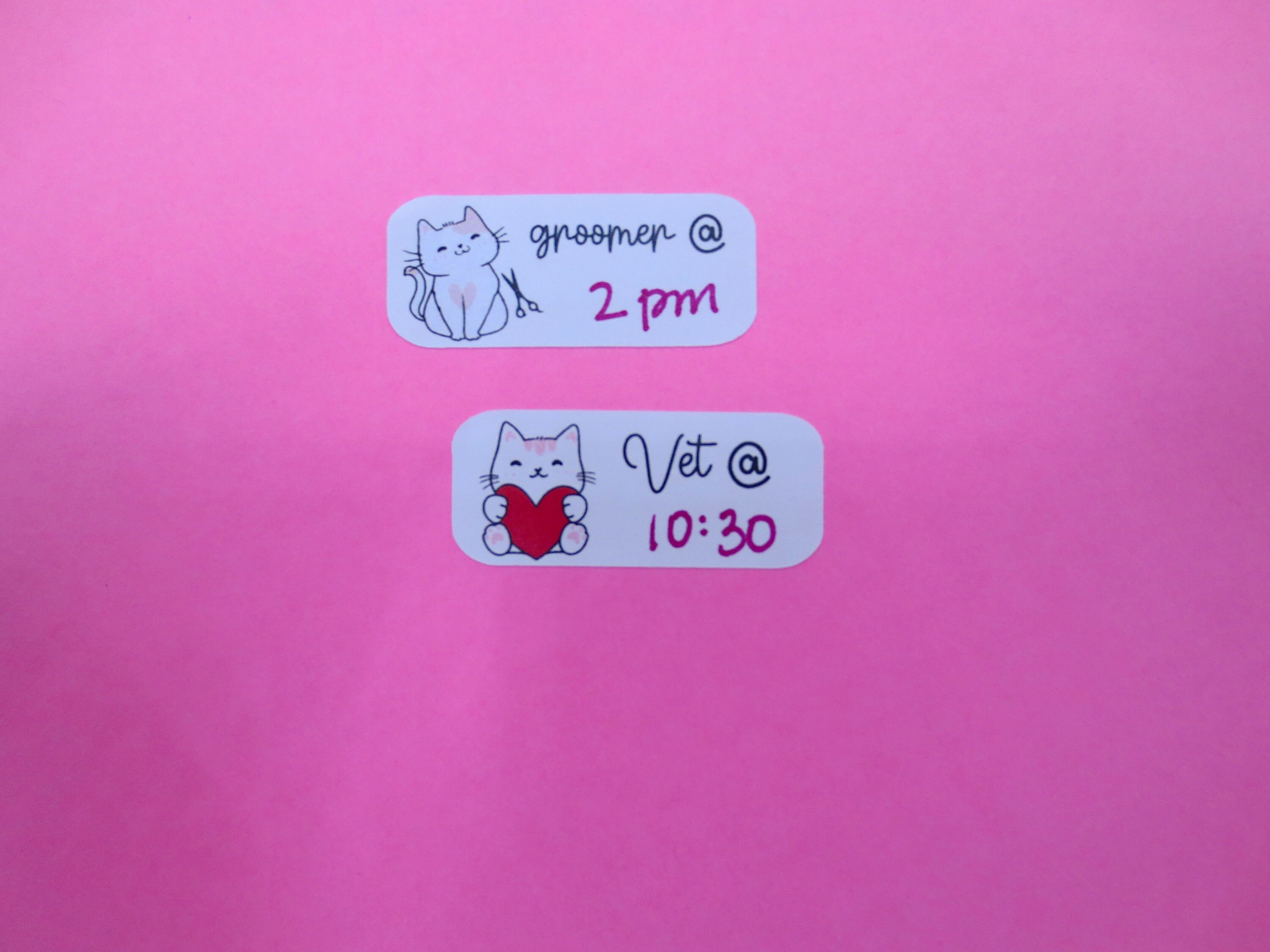 Vet Cat Appointment Stickers Groomer Cat Appointment Stickers - Etsy