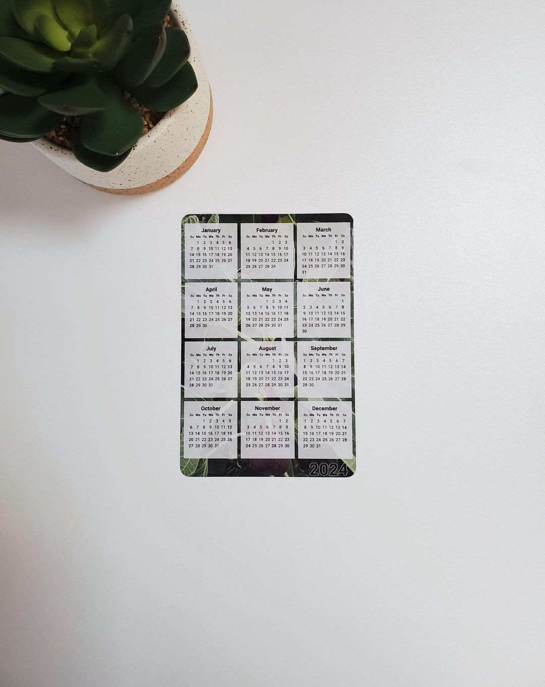 Fig Tree Photo Calendar Magnet 4" X 6" Start on Any Month | Year at a ...