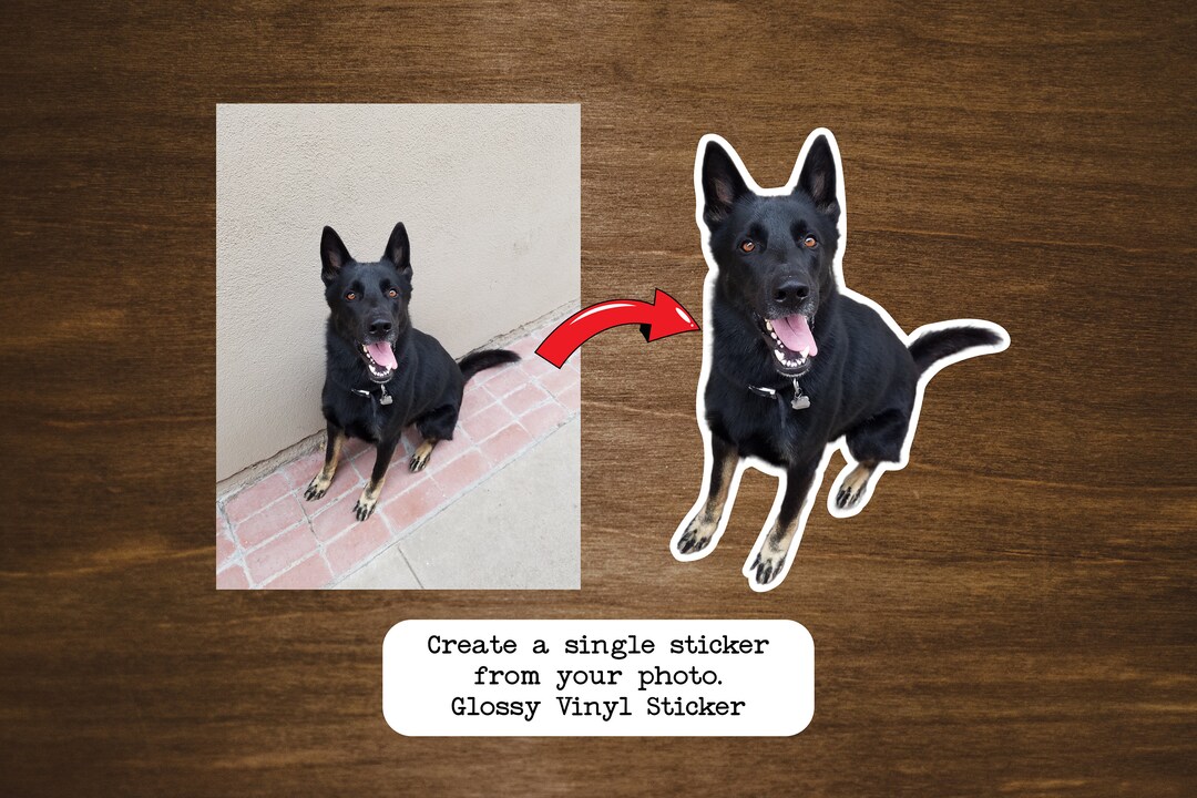 Single Sticker From Your Photo | Create A Sticker From Your Photo, Logo ...