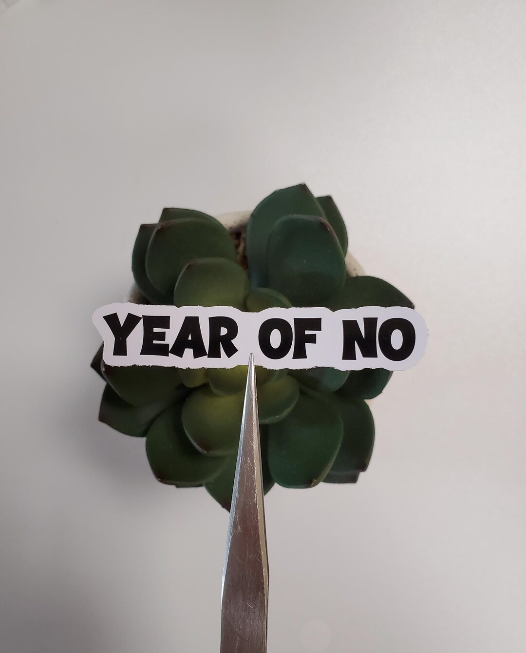 Year of No Text Sticker | New Year Resolution | for Laptop, Water ...