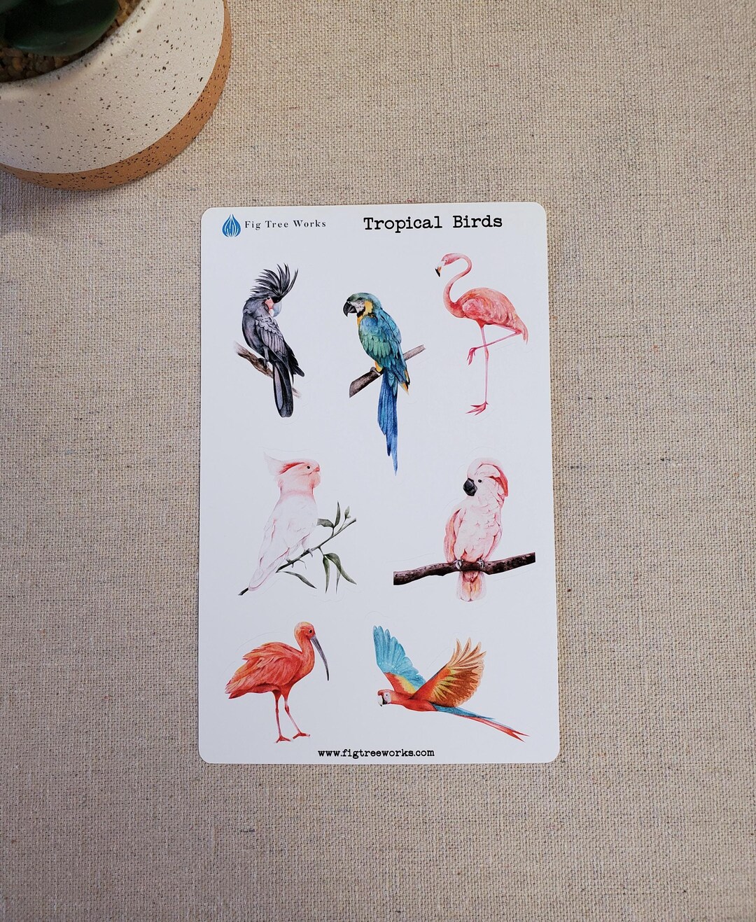 Tropical Birds Sticker Sheet for Planners and Journals | Decoration ...