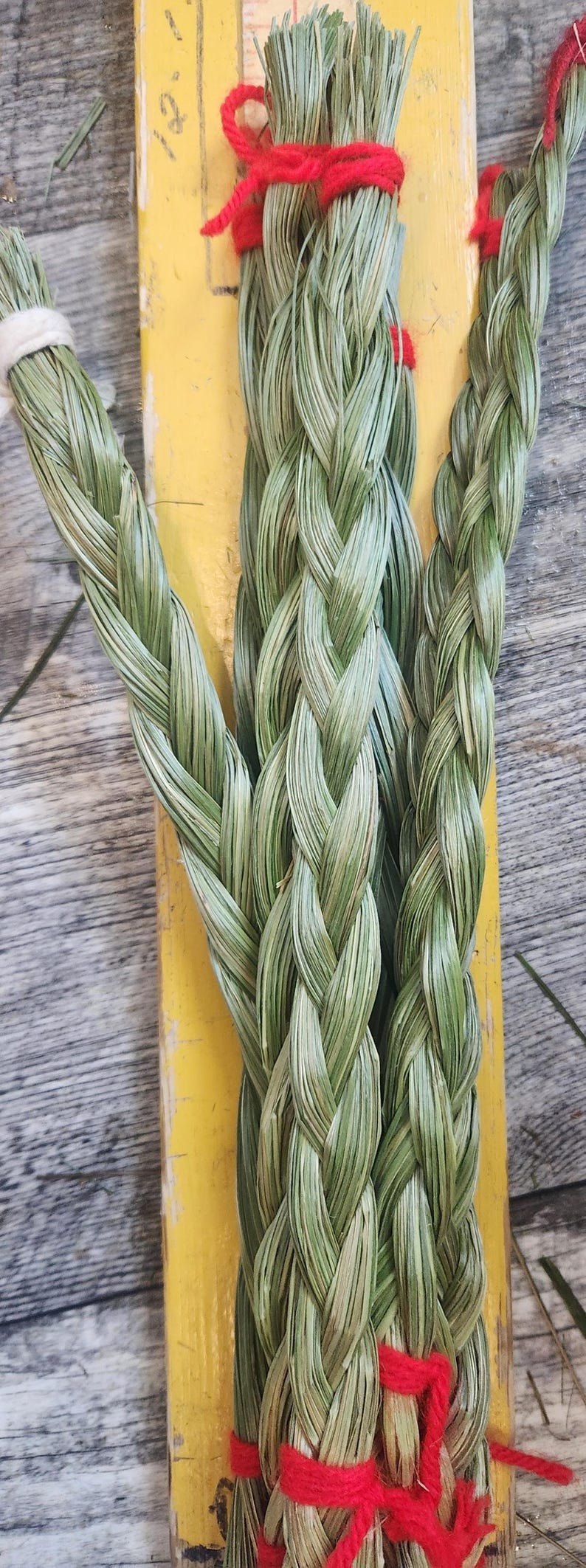 Green Sweetgrass Braids up to 36 Inches .pick Your Length. Hierochloe ...