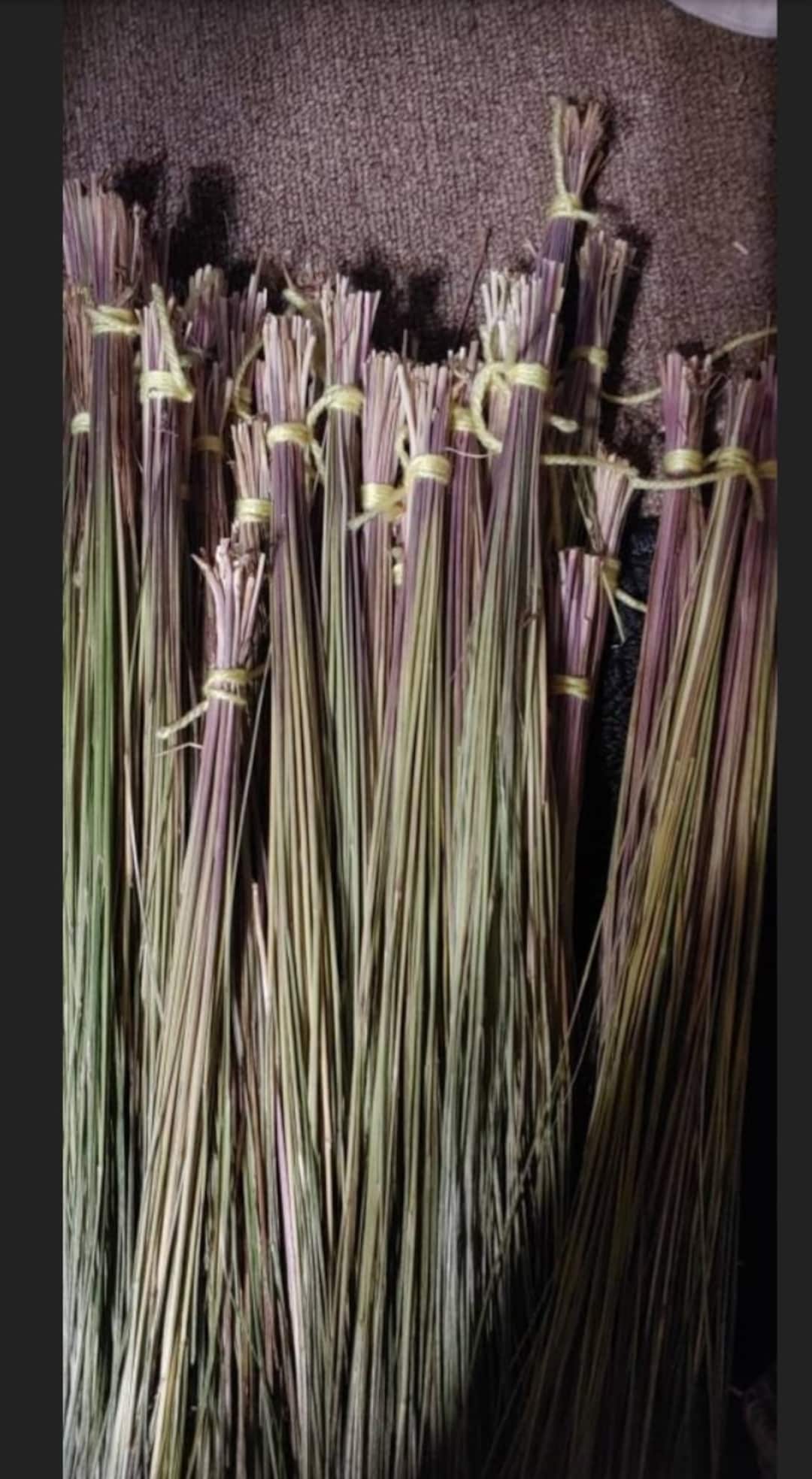 10 Loose Fresh Sweetgrass Bundles of 21 Traditional Strands. Pick Your ...