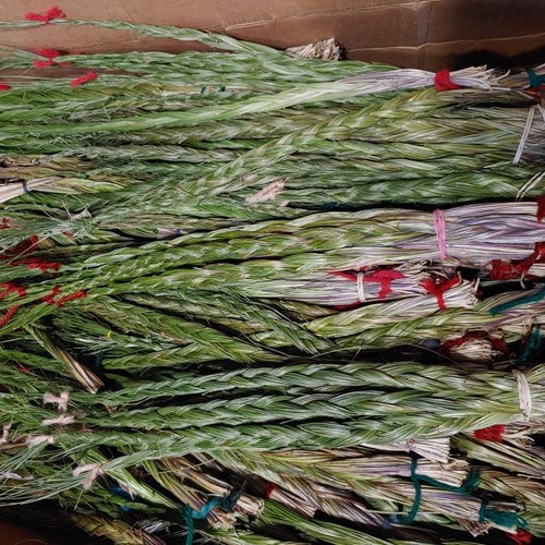 150 SWEET VERNAL GRASS Sweet Grass Vanilla Grass Anthoxanthum - Etsy