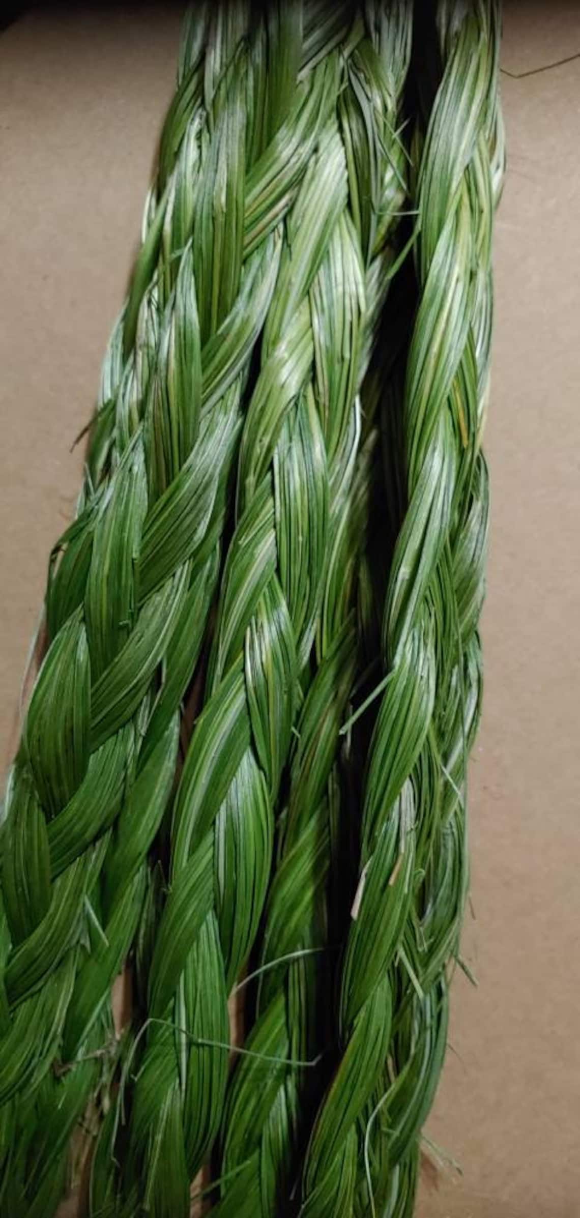 100 Sweetgrass Braids You Pick the Length. Freshly Braided - Etsy