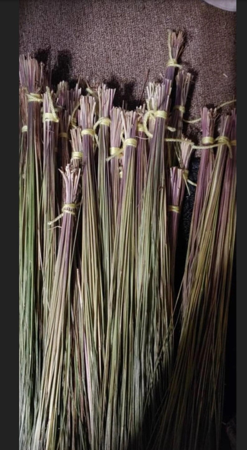 Green Sweetgrass Braids up to 36 Inches .pick Your Length. Hierochloe ...