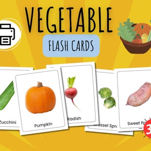 PRINTABLE English Vegetable Flashcards PDF for Adults Toddlers - Etsy