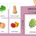 PRINTABLE English Vegetable Flashcards PDF for Adults Toddlers - Etsy