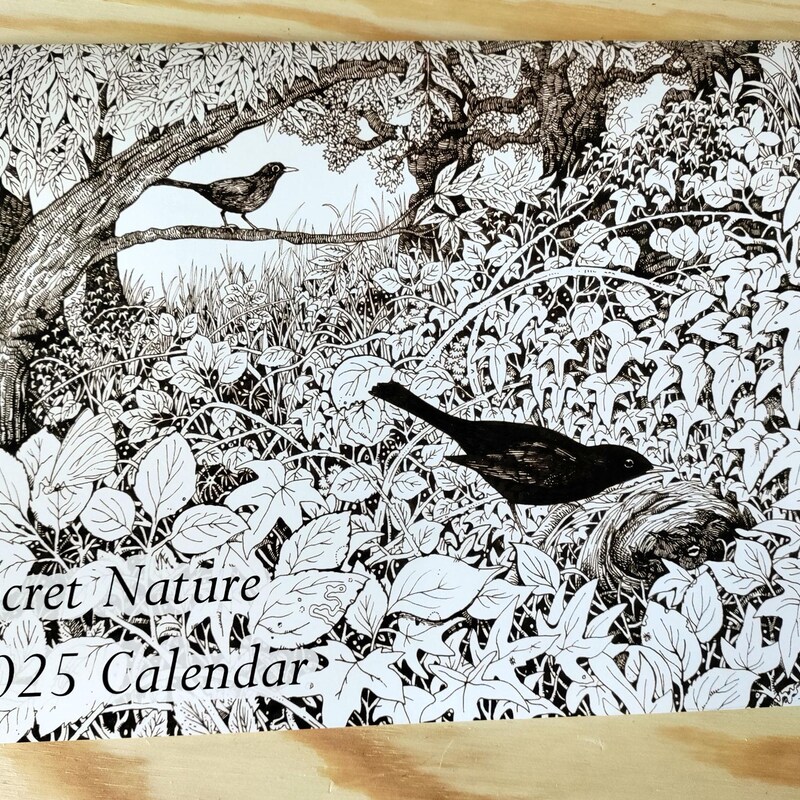 Nature Calendar - Etsy