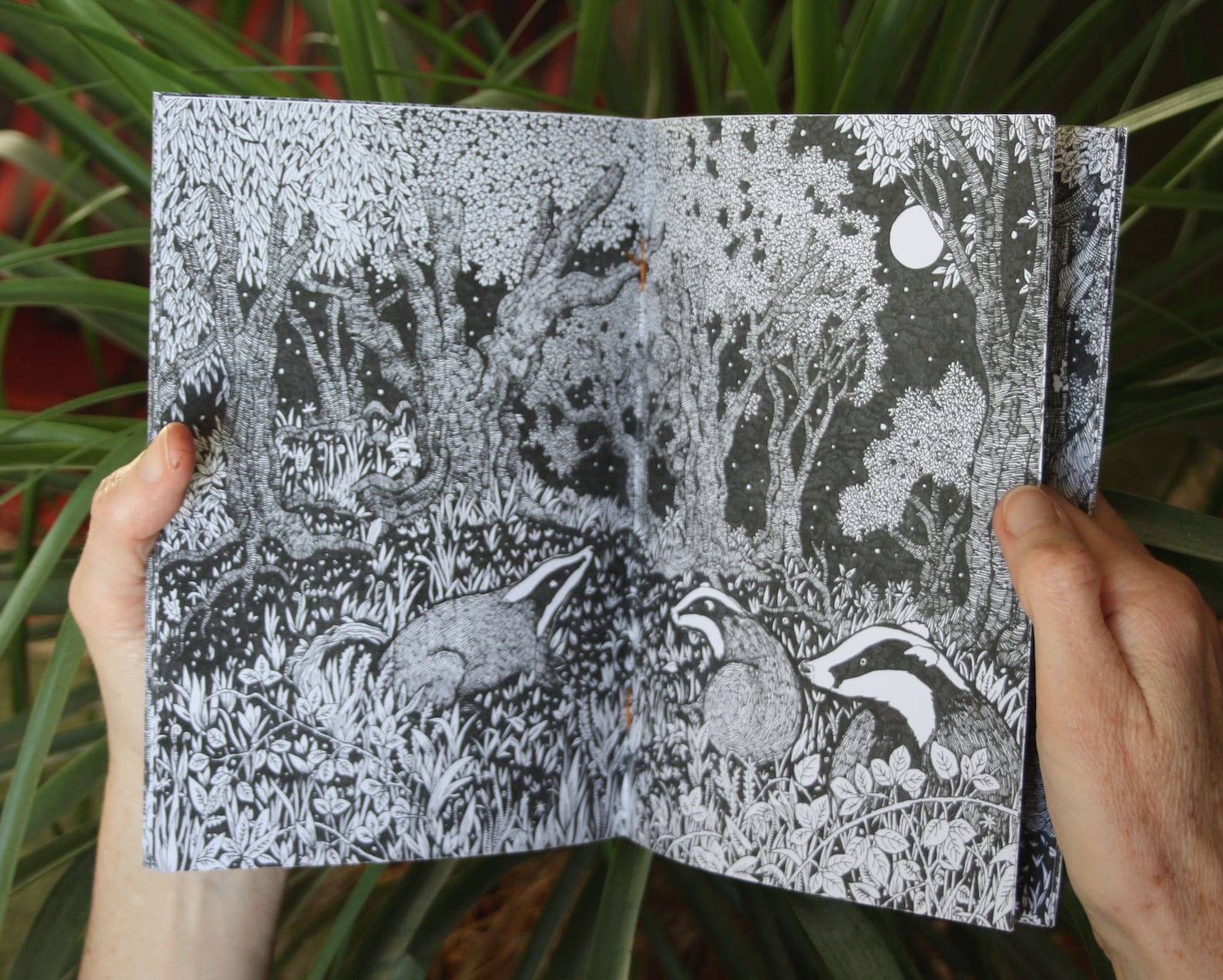 Night Wood Booklet/nature Zine - Etsy UK