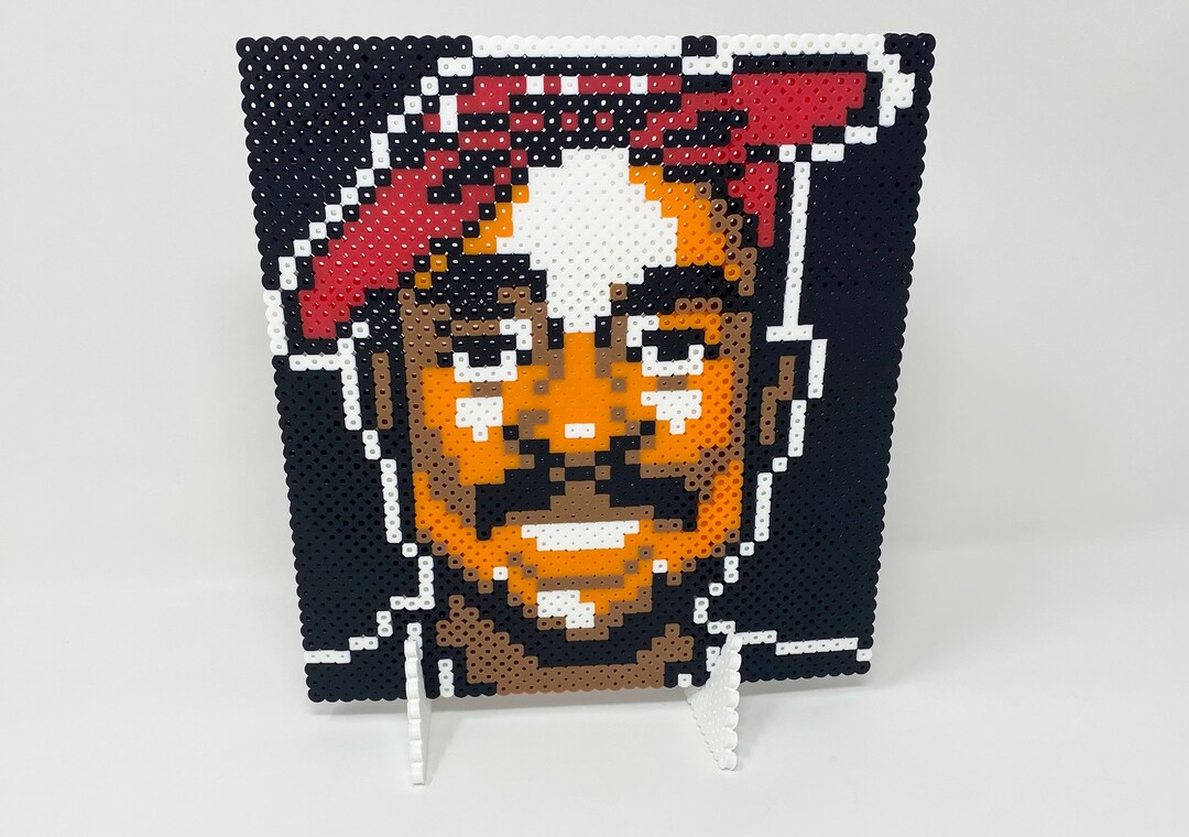 Celebrity Portrait Perler Bead Sprite - Etsy