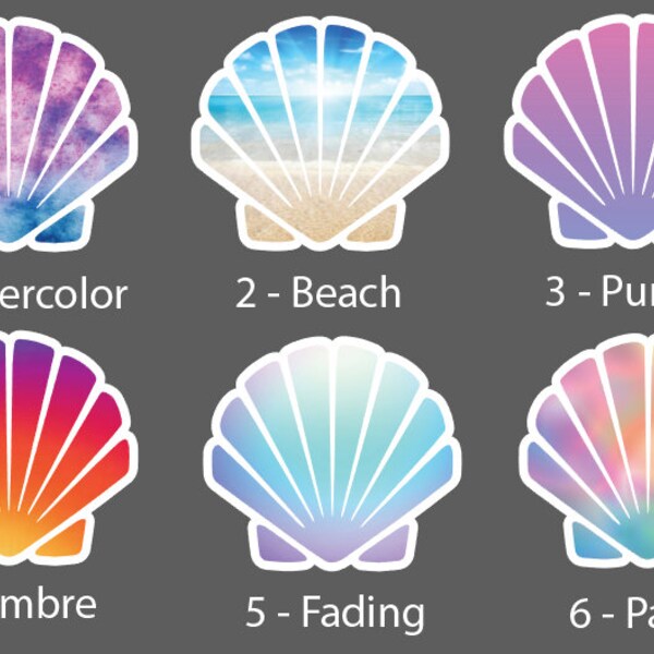 Sea Shell Seashell - Etsy