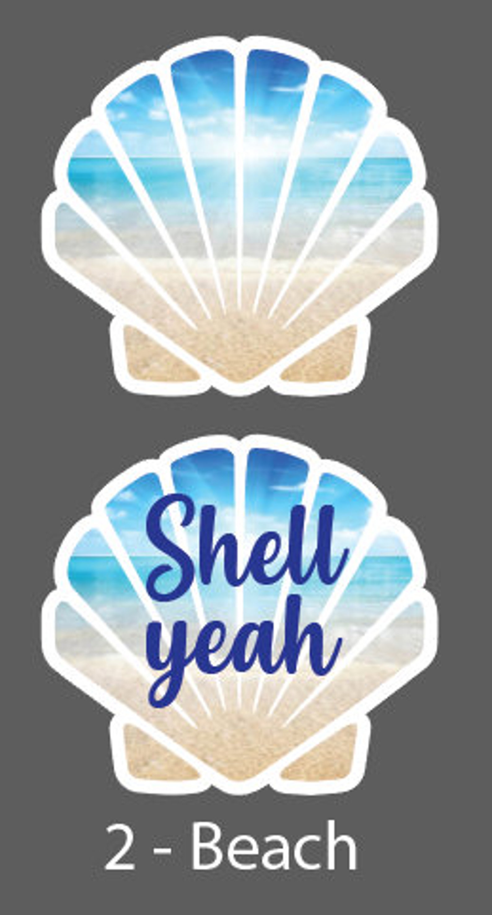 Sea Shell Sticker Seashell Sticker Shell Sticker Water | Etsy