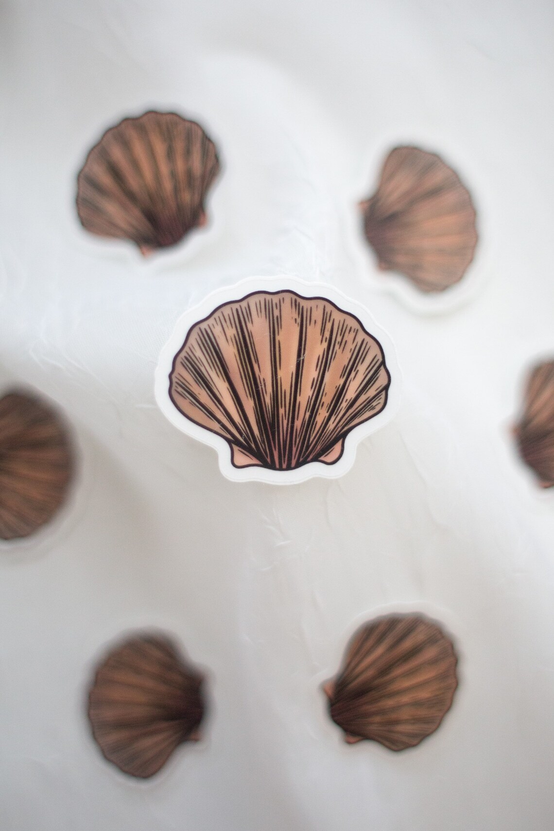 Scallop shell sticker 2inch clear edge vinyl - Etsy.de