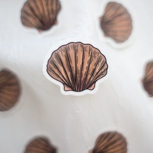 Scallop Shell Sticker, 2inch *clear Edge Vinyl - Etsy