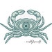Crab Sticker, 2 Size Options - Aesthetic Crab - Evil Eye Crab ...