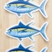 Tuna Sticker, 4inch Clear Edge, Yellowfin Tuna Sticker, Big Eye Tuna - Etsy