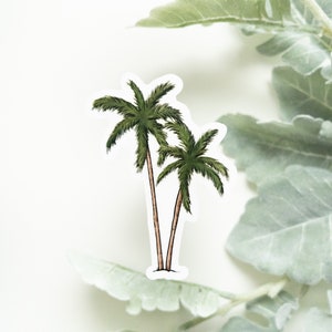 Palm Tree Sticker - 3 Sizes Available - Clear Vinyl - Tropical Beach ...
