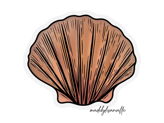 Scallop Shell Sticker 2inch clear Edge Vinyl - Etsy