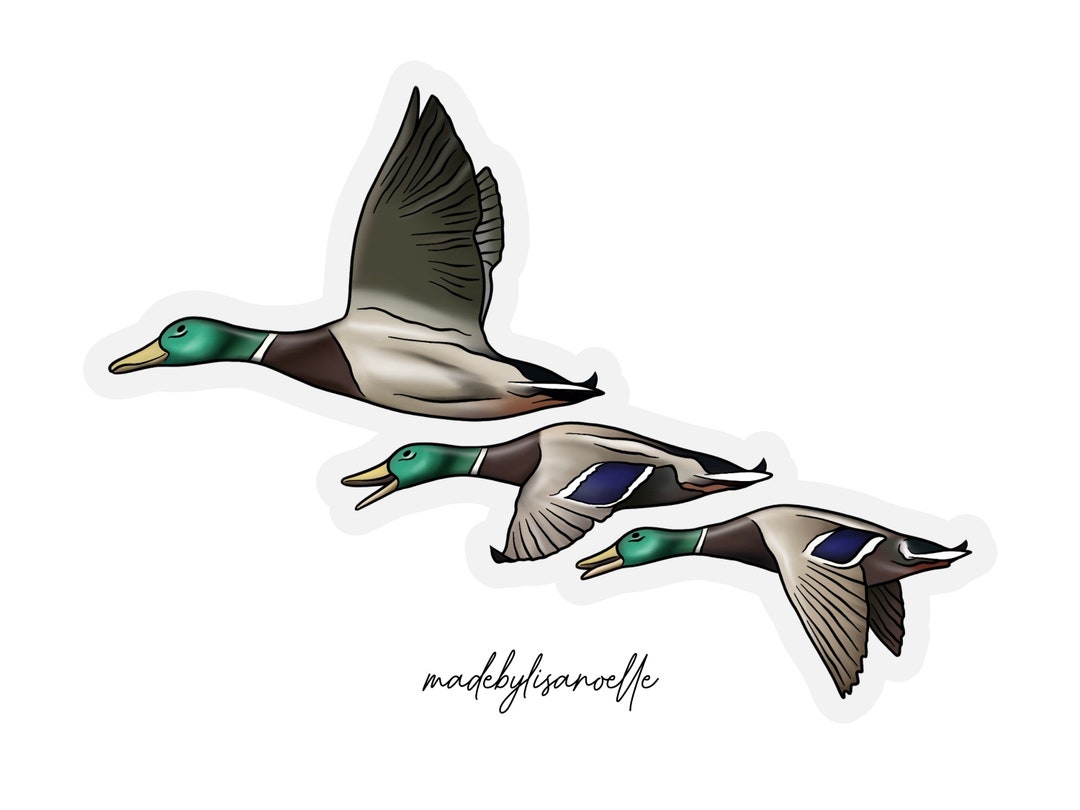 Duck Sticker - Ducks Flying - Duck Hunting - Hunting Sticker - Clear ...