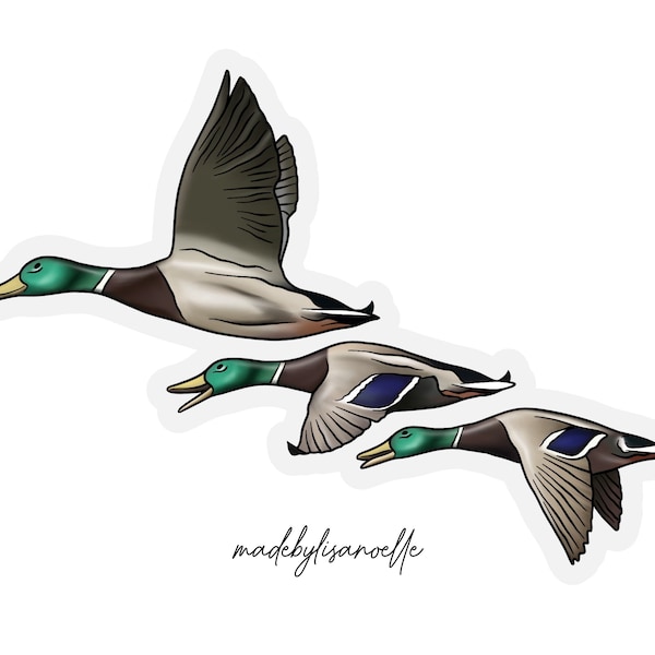 Duck Hunting Vinyl - Etsy