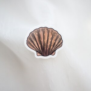 Scallop Shell Sticker, 2inch *clear Edge Vinyl - Etsy