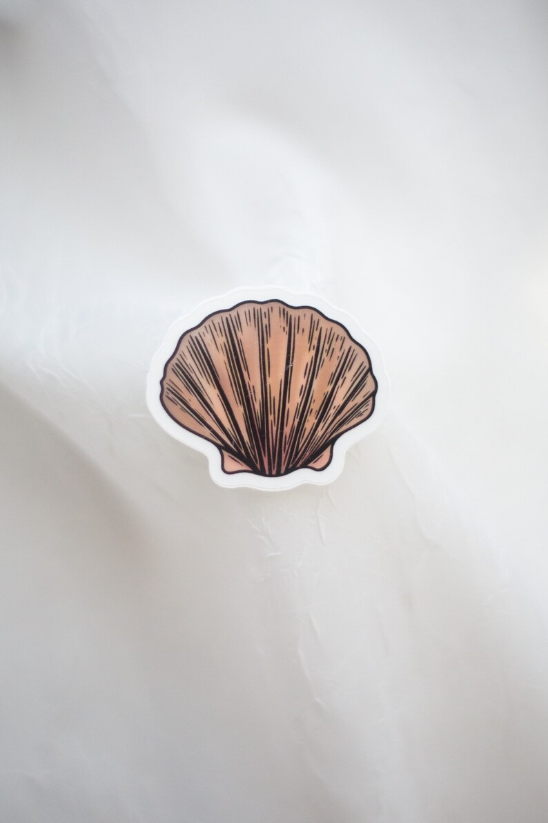 Scallop Shell Sticker 2inch clear Edge Vinyl - Etsy