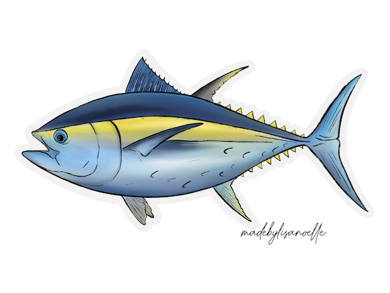 Tuna Sticker 4inch Clear Edge Yellowfin Tuna Sticker Big - Etsy