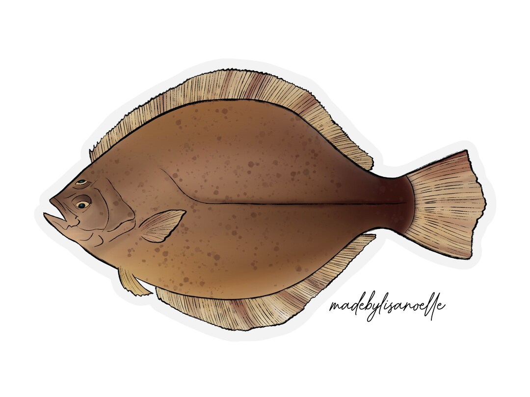 Fluke Sticker, 3inch - Etsy