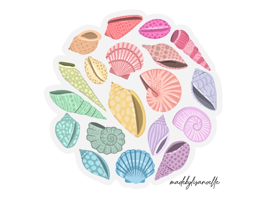 Rainbow Shell Sticker - Surf - Rainbow - Yeti Sticker - Water Bottle ...