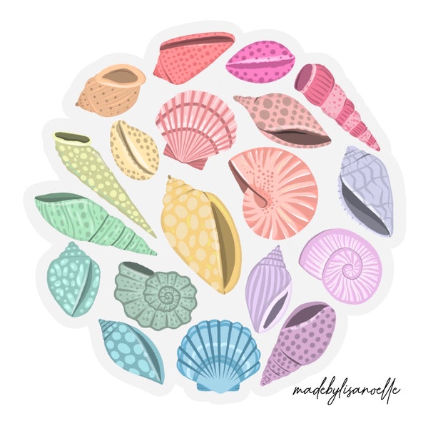 Rainbow Shell - Etsy