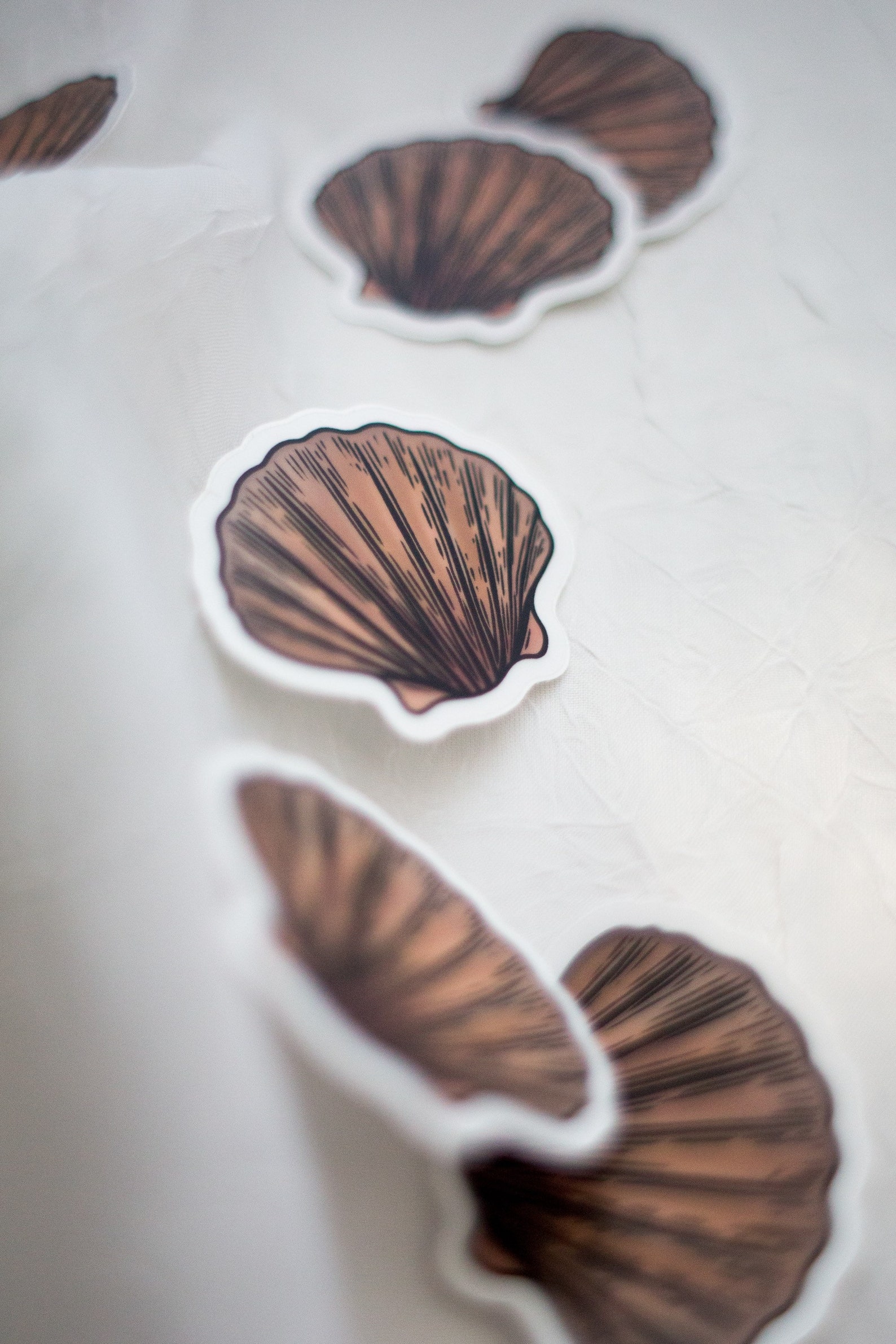 Scallop Shell Sticker, 2inch *clear Edge Vinyl - Etsy