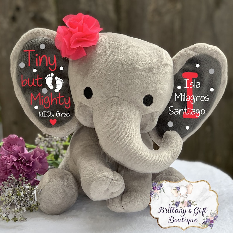 NICU Grad NICU Premie Newborn New Baby NICU Grad Gift - Etsy