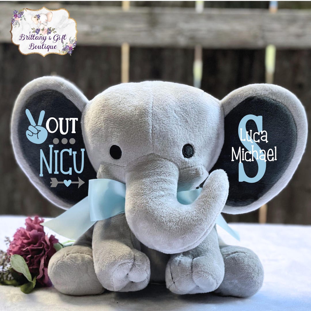 NICU Grad, Welcome Home, Newborn, Preemie Gift Personalized Keepsake ...