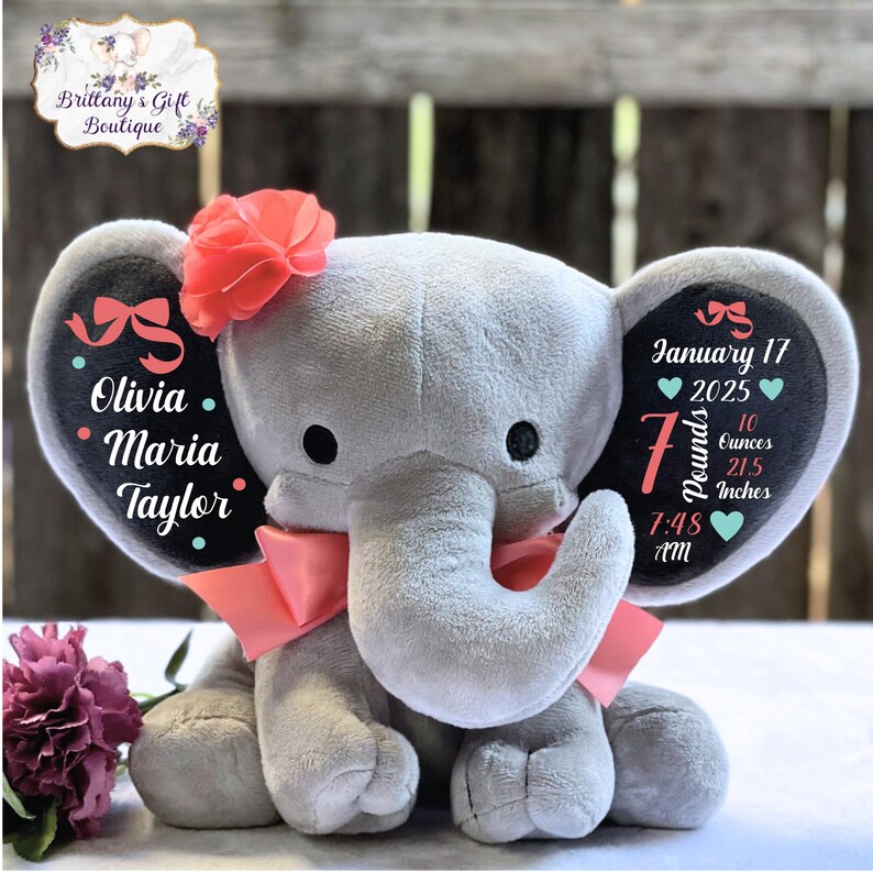 Birth Announcement, Birth Stats, New Baby Gift, New Mom, Newborn ...