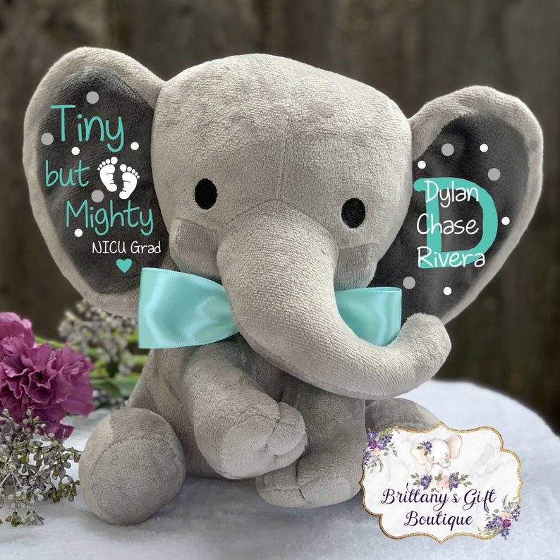 NICU Grad NICU Premie Newborn New Baby NICU Grad Gift | Etsy