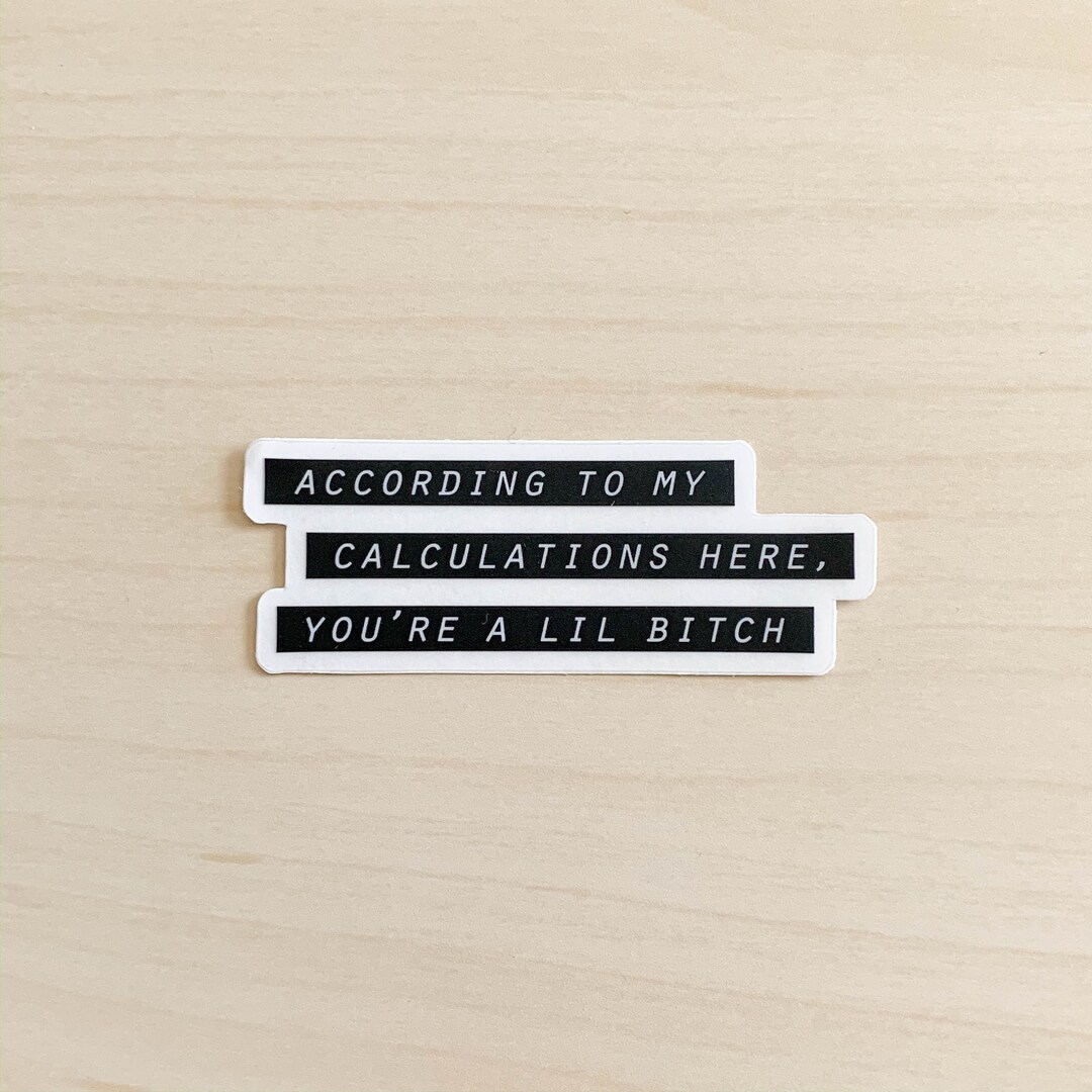 Transparent Quote Sticker Aesthetic Funny Waterproof - Etsy
