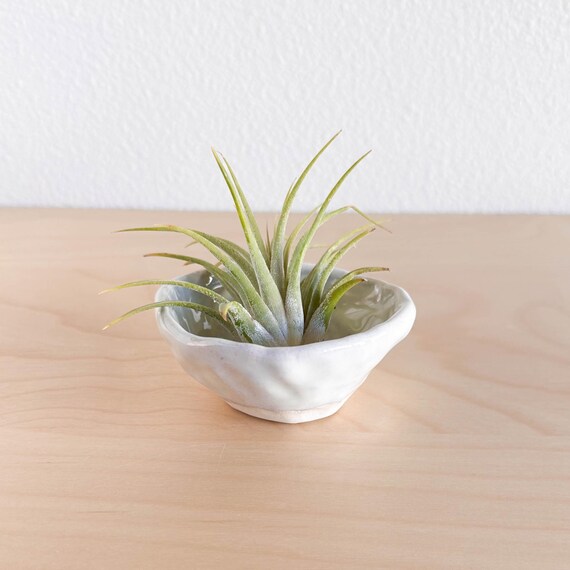 Advanced Pinch Pots