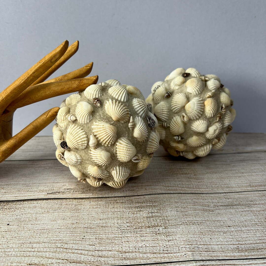 Pair 2 Decorative Spheres, Balls, Bowl Filler Display, Sea Shells ...