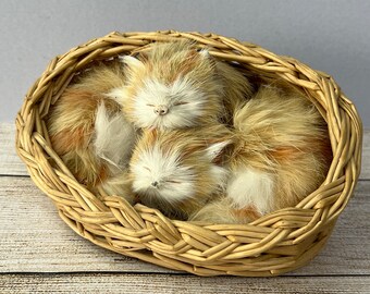 Faux Taxidermy - Etsy