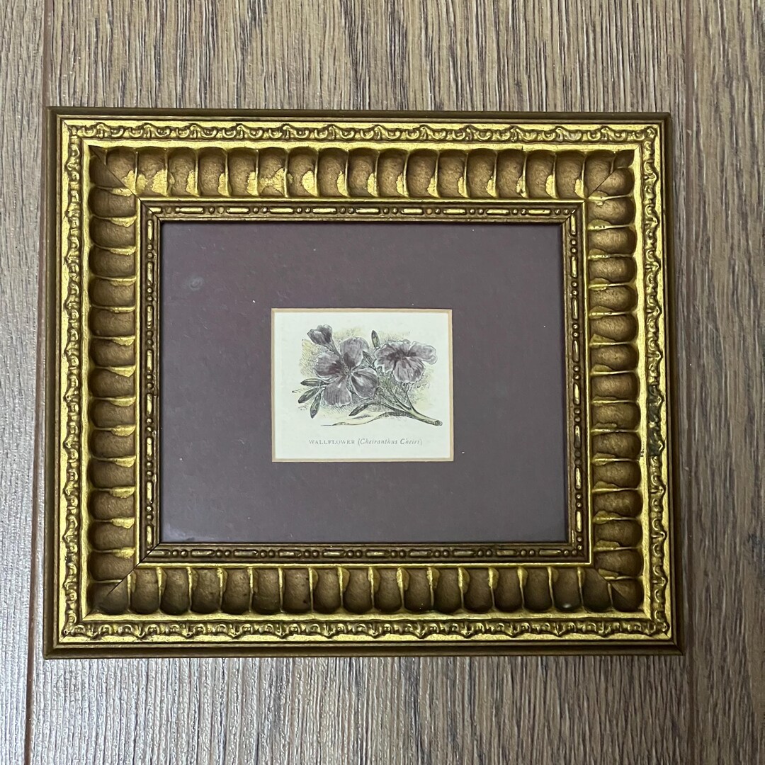Vintage Hand Coloured Victorian Print, Wallflowers, in Ornate Gold ...
