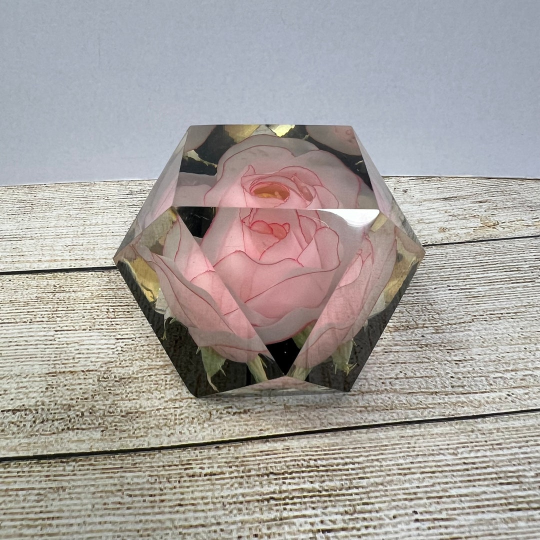 Vintage Lucite Paperweight, Encased Pink Rose, 14 Sided Polygon - Etsy