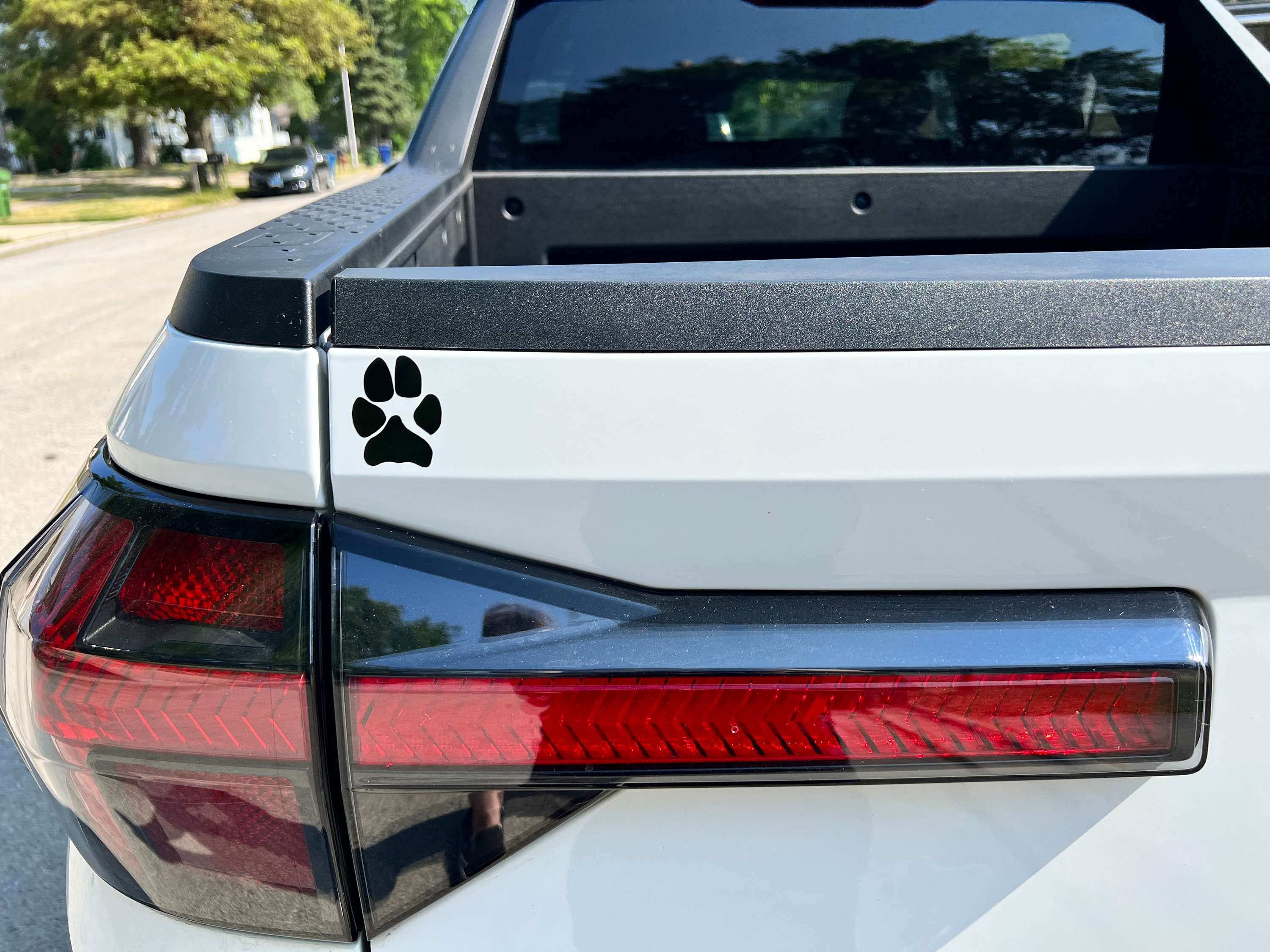 Custom Paw Print Nose Vinyl Decal - Dog Cat Exotics Guinea Pig Print ...