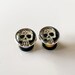 Cool Skull Plugs Plugs, 8g 3mm, 6g 4mm, 4g 5mm, 2g 6mm, 0g 8mm 00g 10mm ...