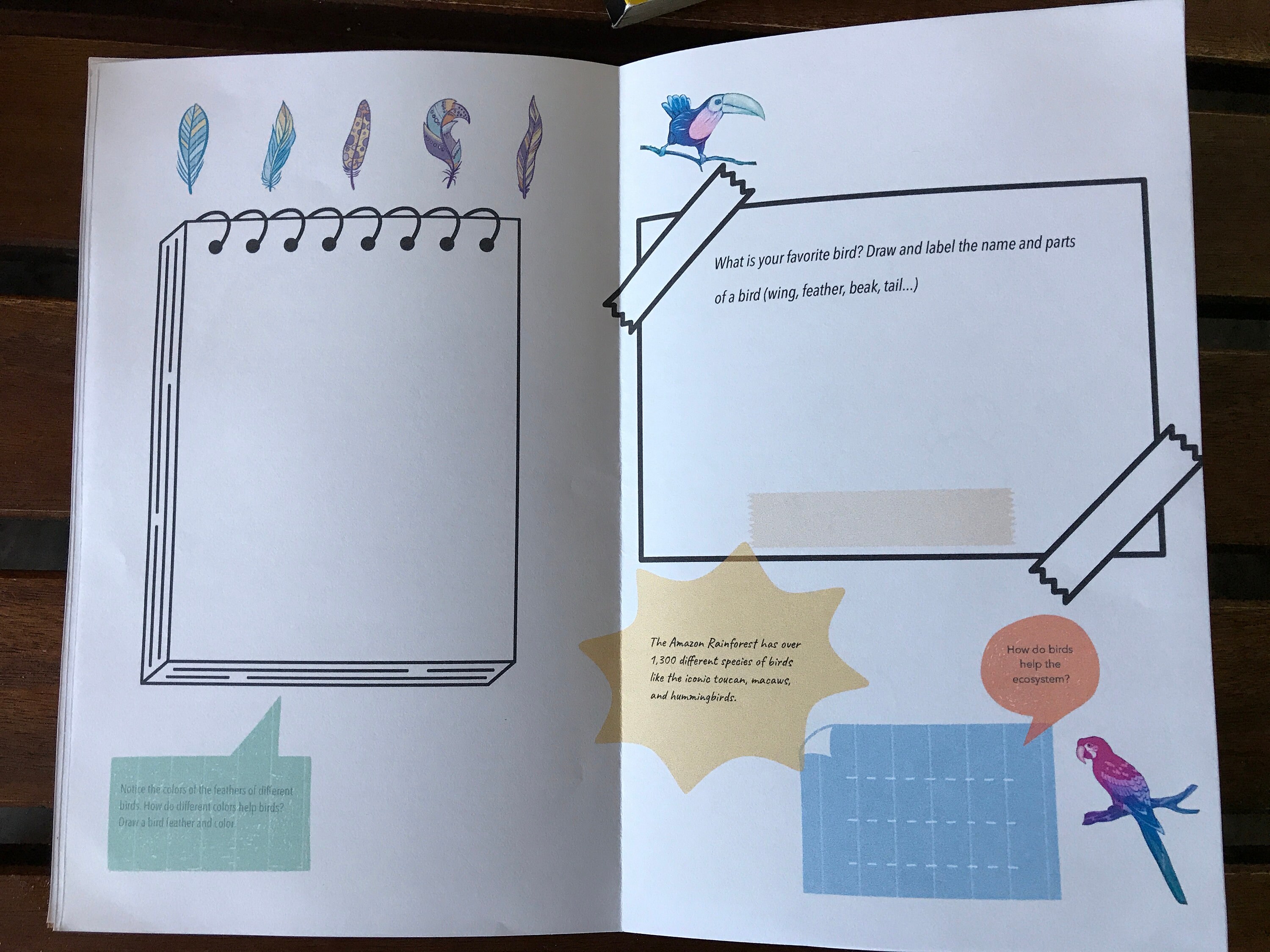Nature Adventure Journal PDF Printable | Etsy